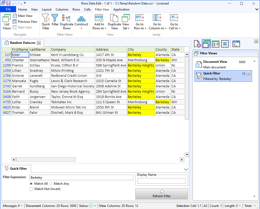 CSV & Tabular Text Editor for Windows - Rons Data Edit
